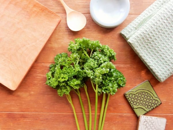 キッチン用手拭きタオルのおすすめ人気ランキング14選！速乾性のある商品もピックアップ | Kaubel