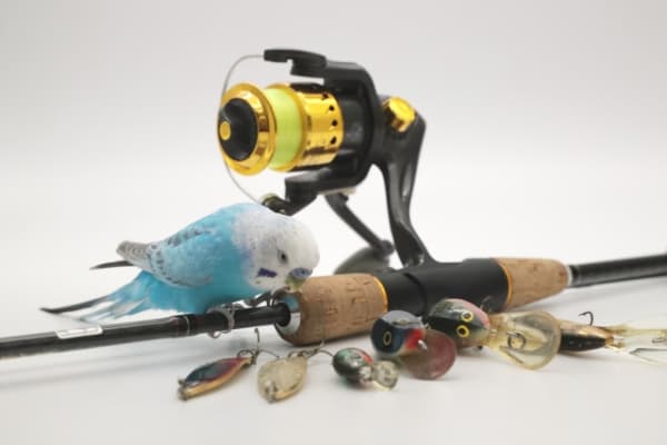 2500番のスピニングリールのおすすめ人気ランキング12選！ | Kaubel